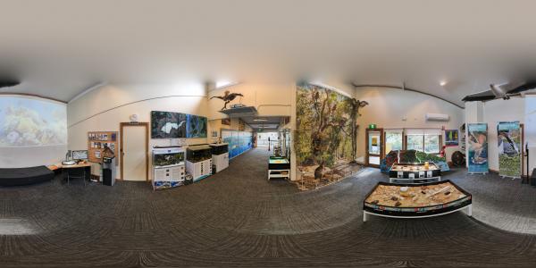 Coastal Environment Centre field trips
